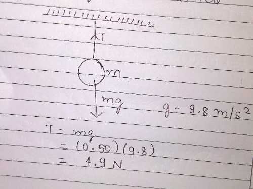 A heavy particle of mass 0.50 kg is hanging from a string fixed with a roof. Find the force ...