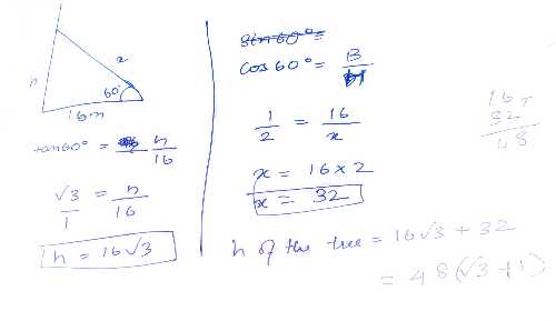 a tree breaks due to storm and the broken part Ben so that the top of ...
