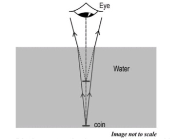 12. Ria is walking slowly with her head above the water surface in the ...